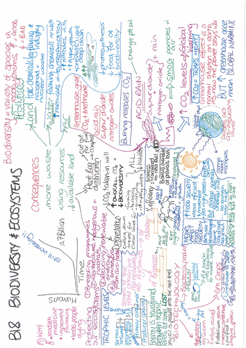 B18 Knowledge Organiser Biodiversity And Ecosystems One Page Revision