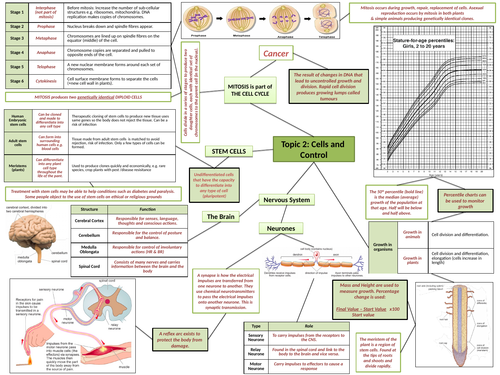 GCSE Biology Revision Topic 2 - Topic to a Page | Teaching Resources