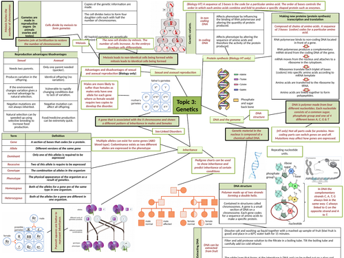 GCSE Biology Revision Topic 3 - Topic to a Page | Teaching Resources