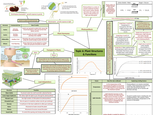 GCSE Biology Revision Topic 6 - Topic to a Page | Teaching Resources