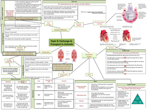 GCSE Biology Revision Topic 8 - Topic to a Page | Teaching Resources