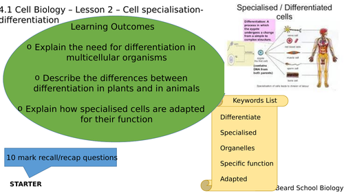 AQA GCSE 9-1 Trilogy Cell Biology Lesson 2-Specialisation and ...