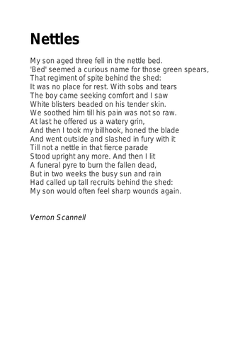 KS3 Nettle Poetry for English Literature | Teaching Resources