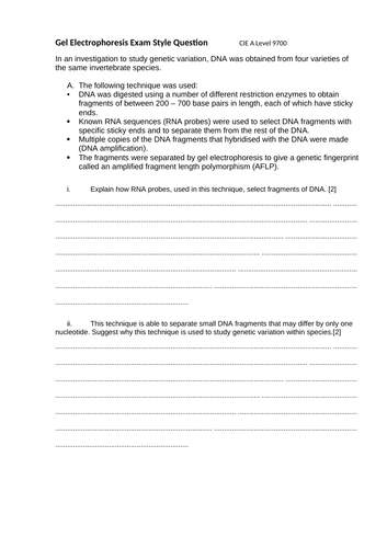 Gel Electrophoresis and DNA Fingerprinting Virtual Lab Simulation ...