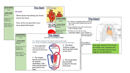 The Heart Aqa B4 3 Teaching Resources