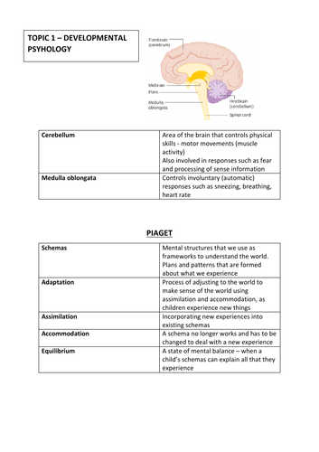Edexcel GCSE (9-1) Psychology Topic 1 Revision | Teaching Resources Edexcel GCSE (9-1) Psychology Topic 1 Revision | Teaching Resources