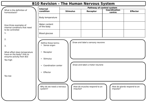 New 9-1 Triple Biology GCSE Paper 2 Revision Sheets | Teaching Resources