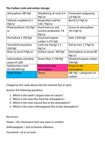 Carbon cycle statements worksheet | Teaching Resources