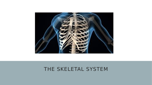 Skeletal system presentation and worksheets. GCSE bones. Powerpoint and ...