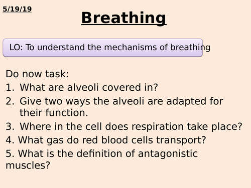 KS3 Breathing lesson | Teaching Resources