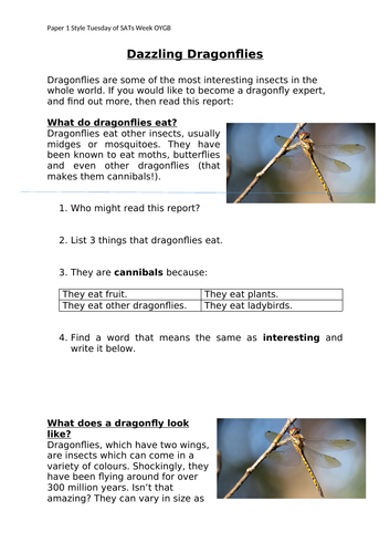 Dragonfly Comprehension Year 2 | Teaching Resources