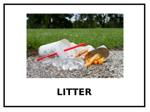 School Assembly: LITTER | Teaching Resources