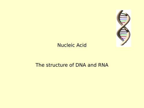 PowerPoint presentation on the structure of Nucleic acids DNA, tRNA ...