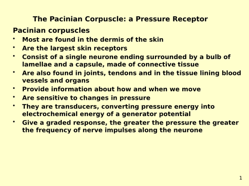 The Pacinian Corpuscle: a Pressure Receptor PowerPoint presentation ...