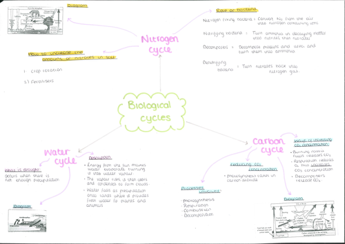 Ecology Cycles Mind Map | Teaching Resources