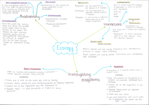 Ecology Mind Map | Teaching Resources