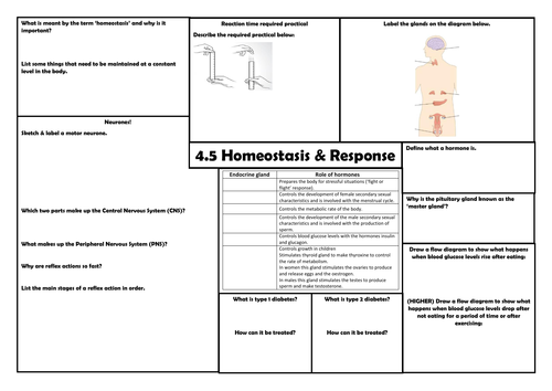 Biology 4.5 Homeostasis & Response | Teaching Resources