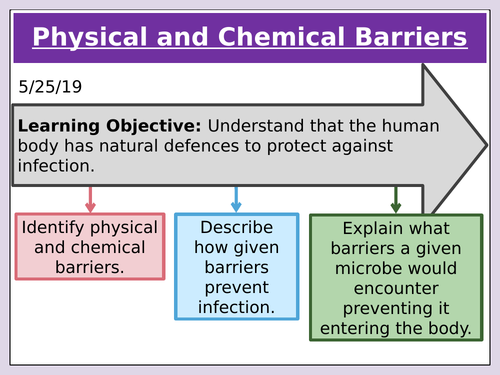 Physical and Chemical Barriers to infection by microorganisms. GCSE 9-1 ...