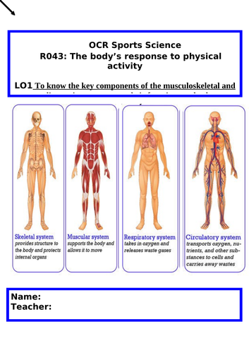 BODYS RESPONSE TO PHYSICAL ACTIVITY WORKBOOK | Teaching Resources