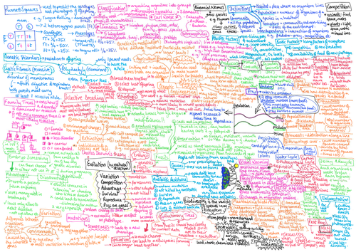 Biology Paper 2 Revision Mat AQA Trilogy Foundation | Teaching Resources Biology Paper 2 Revision Mat AQA Trilogy Foundation | Teaching Resources
