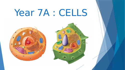 Year 7 Cells AQA or CIE Science | Teaching Resources