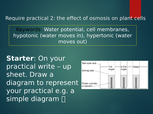 GCSE AQA REQUIRED PRACTICAL OSMOSIS | Teaching Resources GCSE AQA REQUIRED PRACTICAL OSMOSIS | Teaching Resources