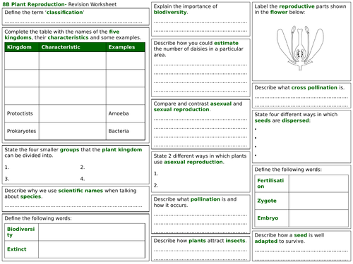 Exploring Science 8B Revision Worksheet- Plant Reproduction | Teaching ... Exploring Science 8B Revision Worksheet- Plant Reproduction | Teaching ...