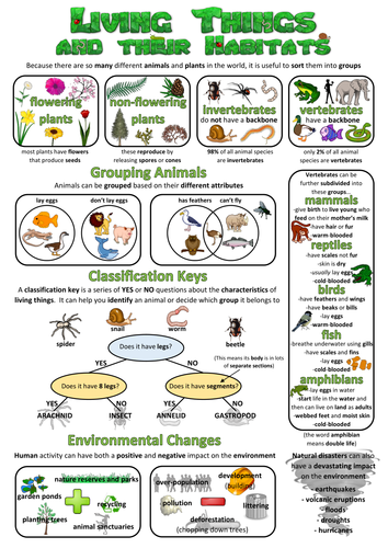 Year 4 Science Poster - Living things and their habitats | Teaching Resources