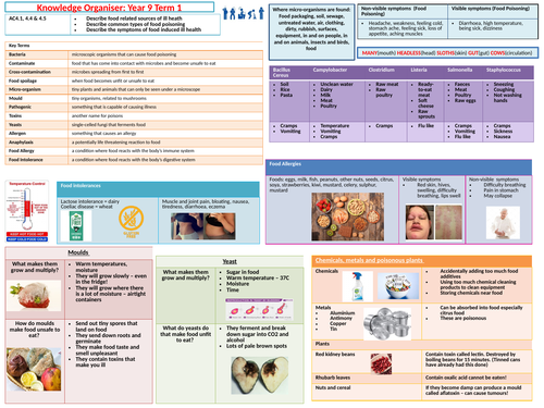 LO4 Knowledge Organisers - Level 1/2 Hospitality and Catering ...
