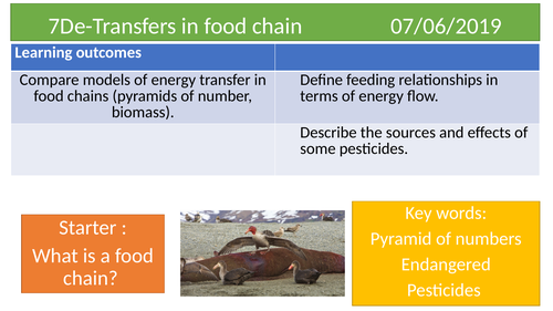 7De- transfers in food chain | Teaching Resources