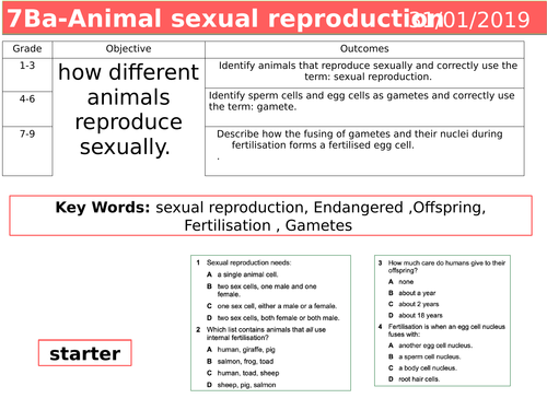 7Ba animal sexual reproduction | Teaching Resources