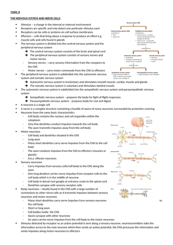 EDEXCEL SNAB TOPIC 8 REVISION NOTES | Teaching Resources