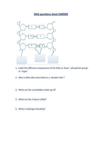 DNA and the Human Genome (AQA 9-1 GCSE) - Inheritance topic B6 ...