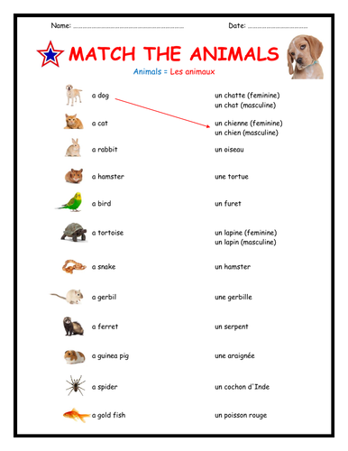 French worksheets - Numbers, Colours and Animals | Teaching Resources