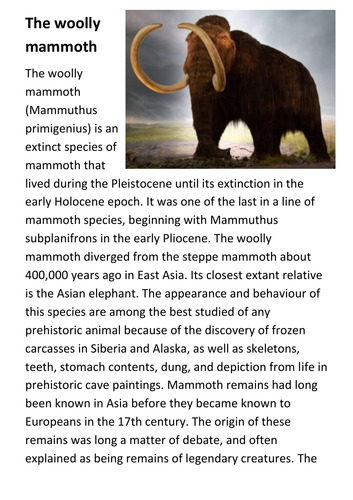 The woolly mammoth | Teaching Resources