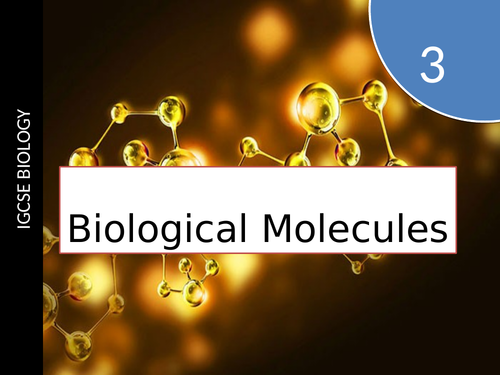 IGCSE biological Molecules | Teaching Resources IGCSE biological Molecules | Teaching Resources