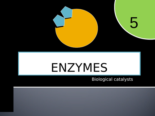 Igcse Enzymes Teaching Resources