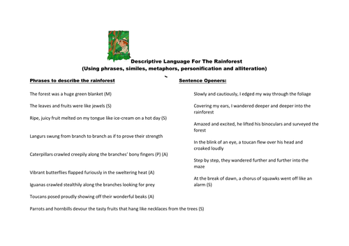 A mat to describe the rainforest | Teaching Resources