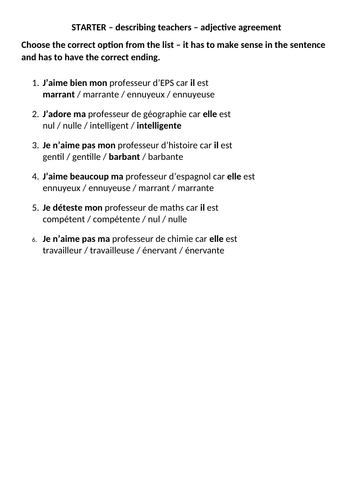 Adjective agreement describing teachers starter | Teaching Resources