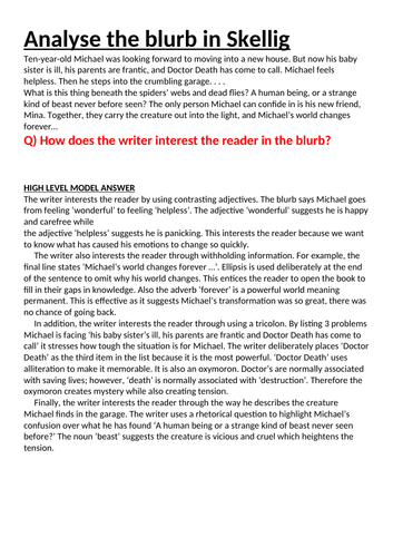 Skellig: analysis of the blurb (high level) | Teaching Resources