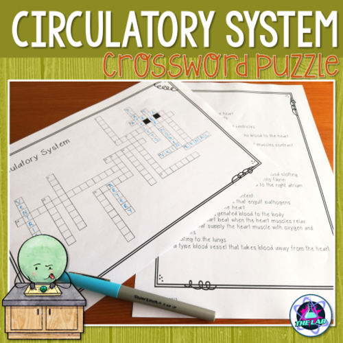 Circulatory System Crossword Puzzle | Teaching Resources