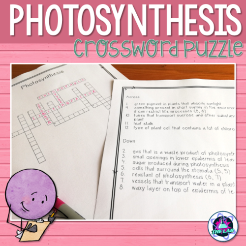 Photosynthesis Crossword Puzzle | Teaching Resources