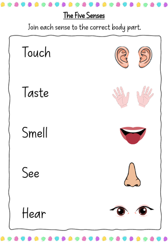 Early Years Understanding the World Resources and Activities | Tes