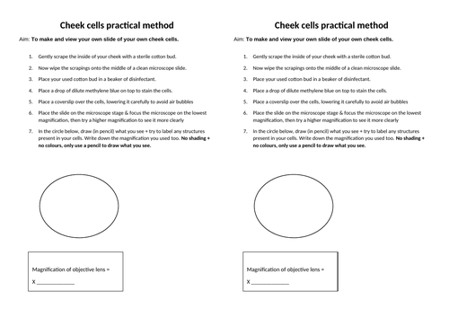 Microscopes and Magnification (Required Practical) | Teaching Resources Microscopes and Magnification (Required Practical) | Teaching Resources
