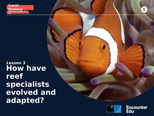 Coral Oceans: KS3: Coral reef adaptation and evolution | Teaching Resources