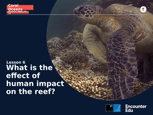 Coral Oceans: KS3: Human impact on coral reefs | Teaching Resources