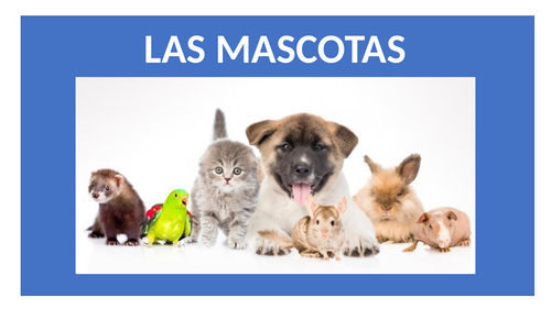 GCSE Las mascotas - pets | Teaching Resources