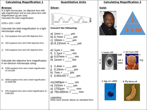 Calculating Magnification | Teaching Resources
