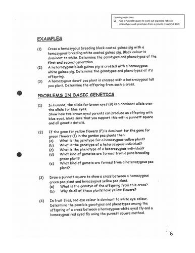 Monogenic Mendelian Inheritance - Punnett Squares | Teaching Resources