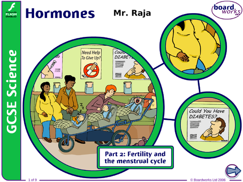 Gcse Hormones Pt 2 Fertility And The Menstrual Cycle Teaching Resources